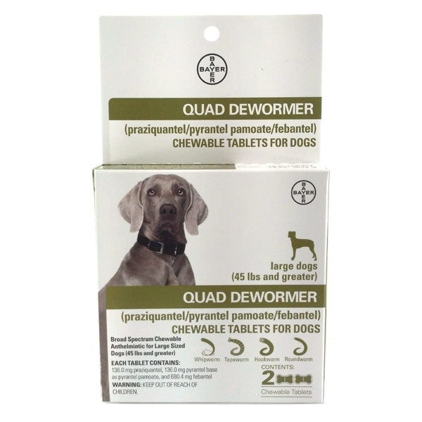Bayer Quad Dewormer - Deer Park, NY - The Barn Pet Feed & Supplies
